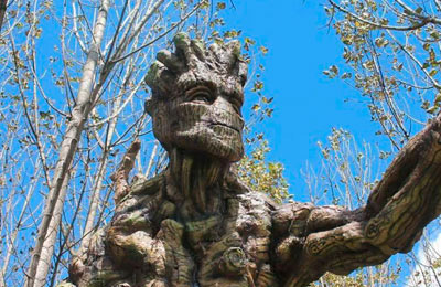 El fantástico Humedal de Huasao « Hotel en Cusco – Yawar Inka Hotel